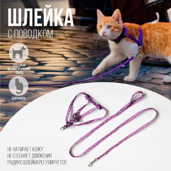 Поводок со шлейкой для собак мелких и средних пород и для кошек ...