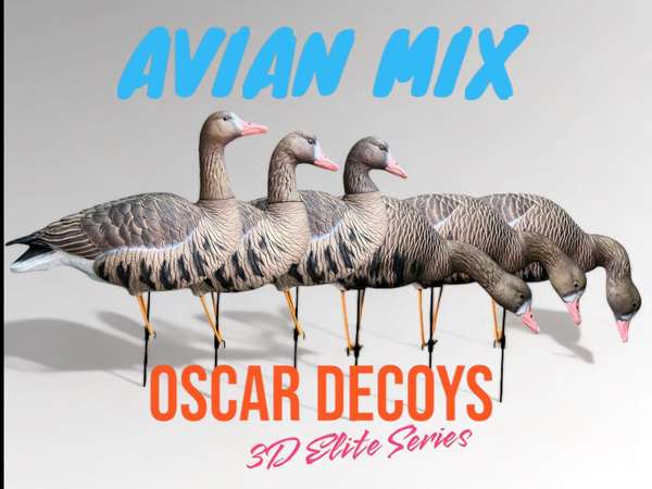 Чучела Белолобый гусь Oscar Decoys Avian-Mix Elite 3D, комплект 6шт ...