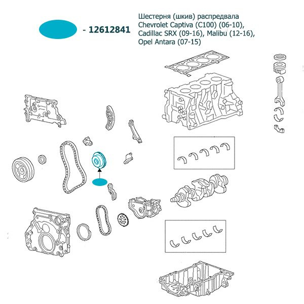 Шестерня шкив распредвала Chevrolet Captiva C100 06-10, Cadillac SRX 09 ...