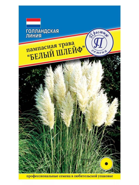 Пампасная трава, Сухоцветы Престиж семена пампаснаятравасемена - купить ...