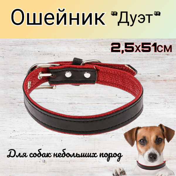 Ошейник для собак "Дуэт" чёрно-красный. 2,5х51см, металлическая ...