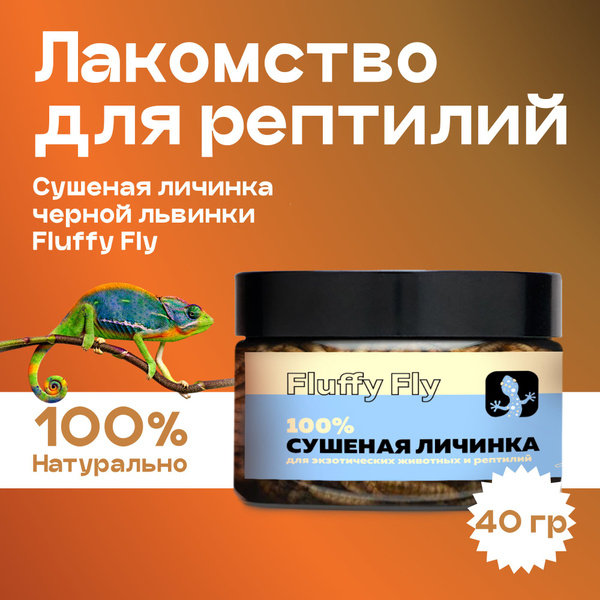 Сушёная личинка мухи чёрная львинки 40г Fluffy Fly, лакомство для ...