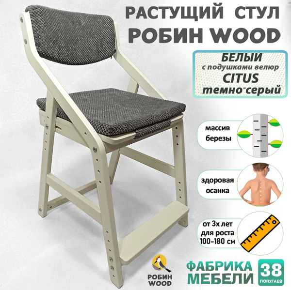 Стул детский растущий деревянный для школьника Робин Wood 38 Попугаев ...