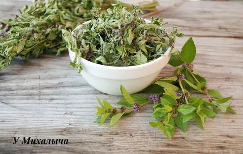 Мята сушеная - купить с доставкой по выгодным ценам в интернет-магазине ...