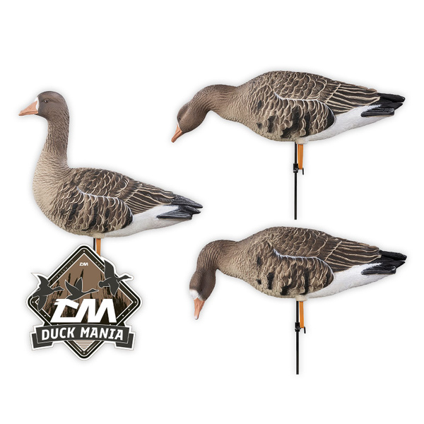 Чучело белолобого гуся Duck Mania "Elite" - купить с доставкой по ...