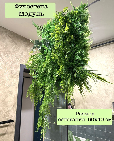 Купить Фитостена из декоративных растений, модульная искусственная ...
