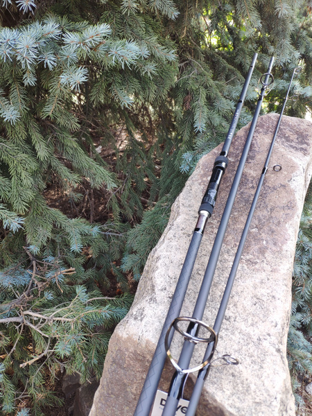 Удилище Dayo RAINBOW CARP_черный купить по выгодным ценам в интернет ...