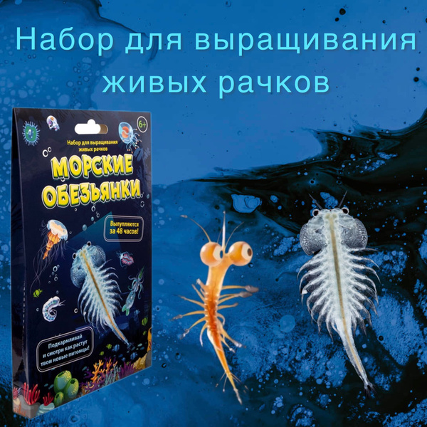 Выращивания живых рачков - купить с доставкой по выгодным ценам в ...