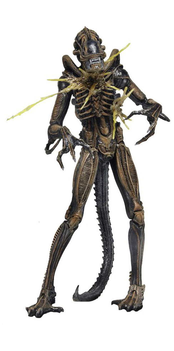 Aliens Warrior Brown OZON 262529207