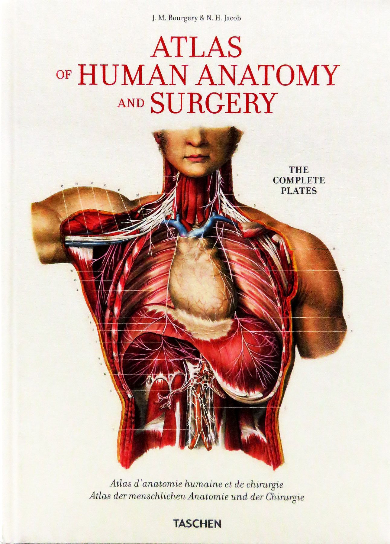 Bourgery. Atlas of Human Anatomy and Surgery XL | Le Minor Jean-Marie ...