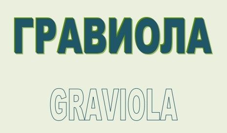 ГРАВИОЛА — купить товары ГРАВИОЛА в интернет-магазине OZON