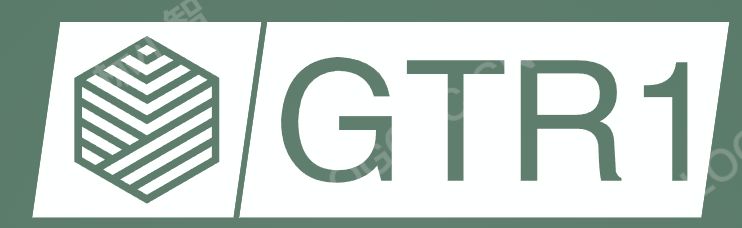 GTR1 — купить товары GTR1 на OZON