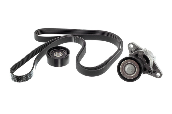 Комплект приводного ремня с натяжителем и роликом RENAULT 1.4-1.6i 16V ...