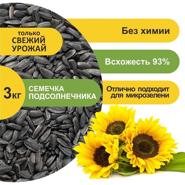 Семечки подсолнечника сырые 3 кг микрозелень семена для проращивания