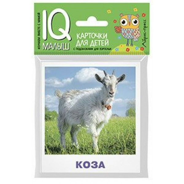 Набор карточек. Домашние животные 13 карточек. - купить с доставкой по ...