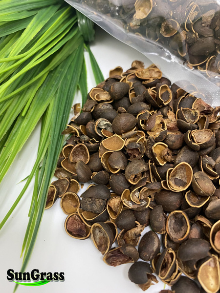 Sungrass / Скорлупа кедрового ореха - 3 кг - купить с доставкой по ...