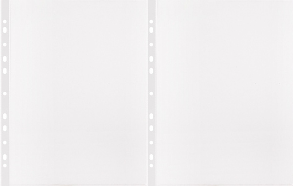 Attache Файл A4 (21 × 29.7 см) 2 шт. купить на OZON по низкой цене (947180368)