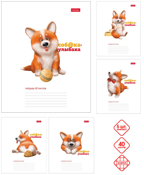 Набор тетрадей Hatber 40 листов, формата А5, в клетку, на скобе, 65 г/кв. м, 5 штук/5 дизайнов ...