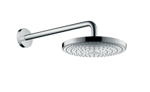 Верхний душ Hansgrohe Raindance Select S 240 2jet 26466000 - купить с ...