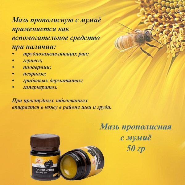 Мазь прополисная с мумие 50 гр. Русский мед - купить с доставкой по ...