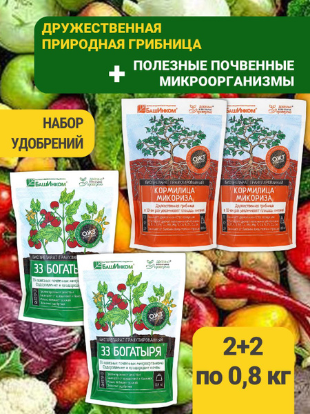 Кормилица Микориза для корней 1,6 кг + 33 богатыря почвооздоравливающий ...