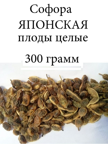 Софора Японская. Плоды целые, 300 грамм - купить с доставкой по ...