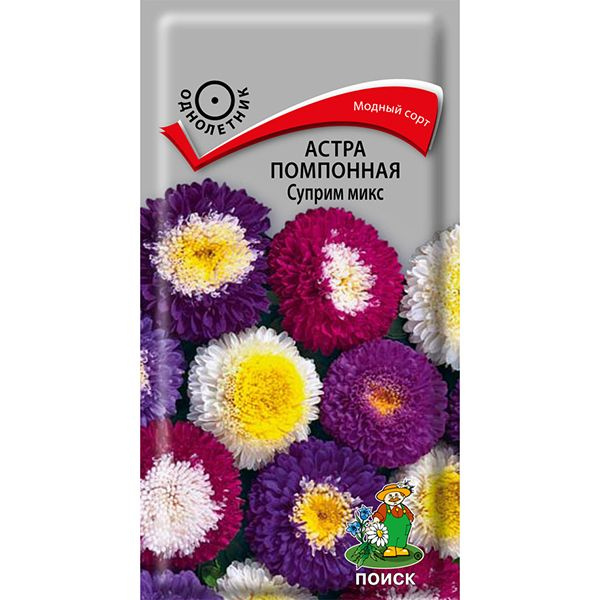 11845_Астра помпонная Суприм микс - купить по выгодным ценам в интернет ...