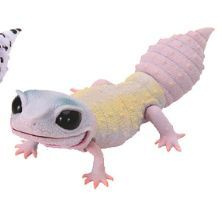 Экшн-фигурка аниме Bandai Gashapon Biological Illustrated Series Guard ...