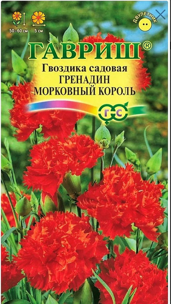 Гвоздика турецкая, Гвоздики двулетние Гавриш Гвоздика - купить по ...