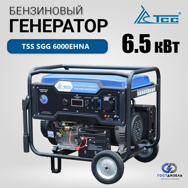 Генератор бензиновый TSS SGG 6000EHNA - купить с доставкой по выгодным ...