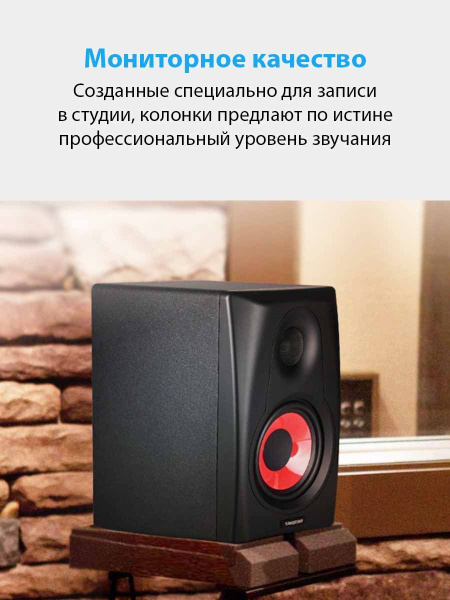 Студийный монитор TAKSTAR 80003240, 100 Вт, Центральный канал - купить ...