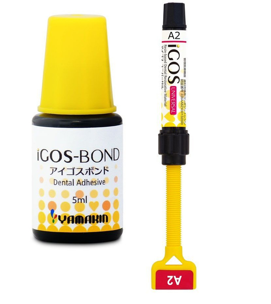 Набор IGOS Universal A2 (4 г) + IGOS Bond (5 мл) - набор: композит ...