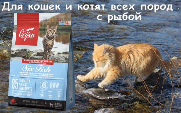 Сухой корм для кошек Orijen Cat 6 Fish 340г - купить с доставкой по ...