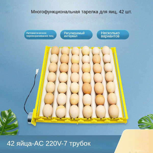 Инкубатор для яиц - небольшой домашний инкубатор с автоматическим ...
