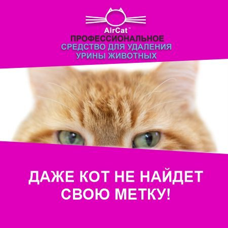 Профессиональное средство нейтрализатор запаха мочи животных и человека ...