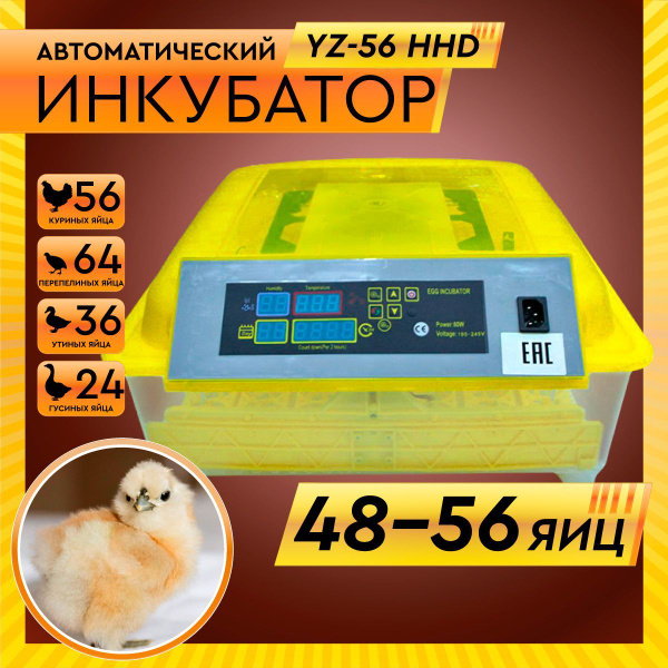Инкубатор автоматический 48-56 яиц HHD, YZ-56 - купить с доставкой по ...