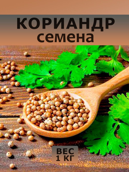 Кориандр в зернах 1 кг - купить с доставкой по выгодным ценам в ...
