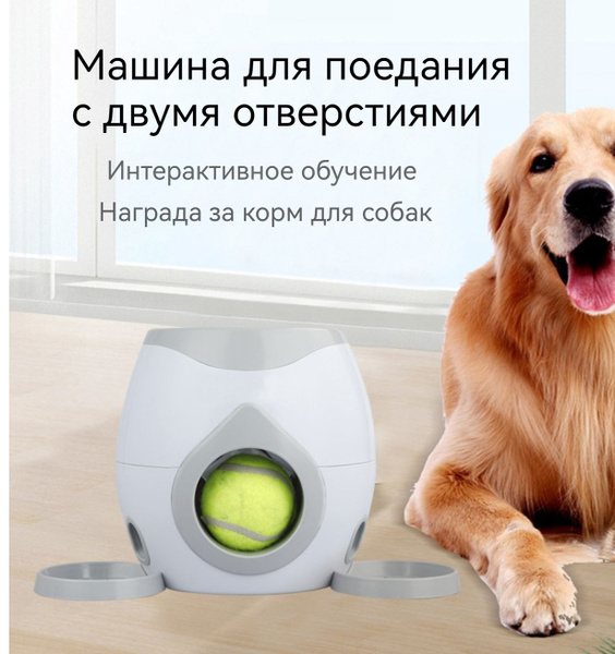 Домашние интерактивные развивающие игрушки для собак - купить с ...
