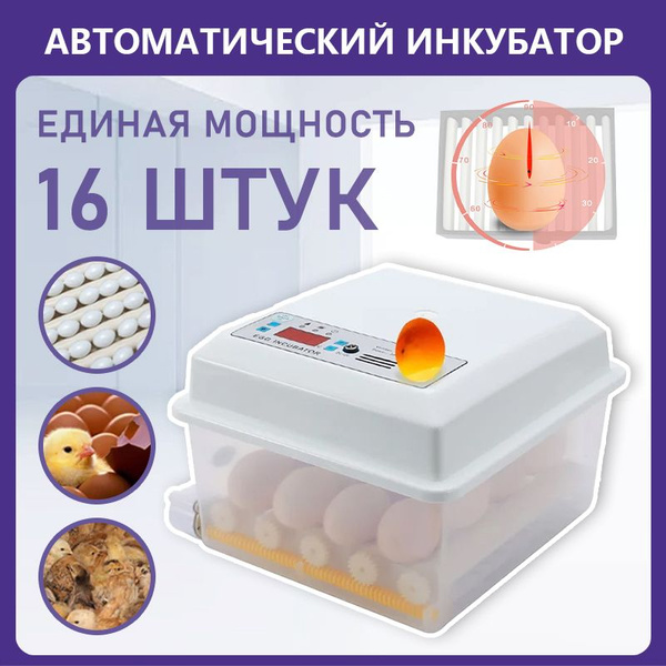 16 яиц, Автоматический интеллектуальный домашний инкубатор для яиц ...