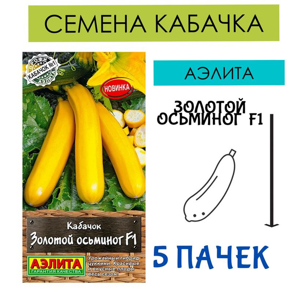 Кабачки кабачок_аэлита_5_Золотой осьминог F1 - купить по выгодным ценам ...