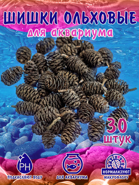 Шишки ольховые для аквариума и поделок, для запаривания и настоек ...