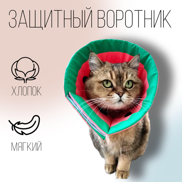 Мягкий воротник для кошек и собак (S) - купить с доставкой по выгодным ...