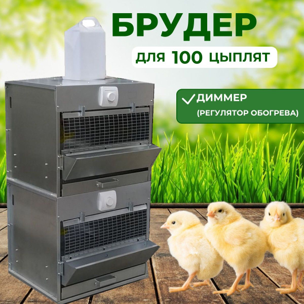 Брудер для 100 цыплят Оптима 2 яруса - купить с доставкой по выгодным ...