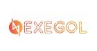EXEGOL — купить товары EXEGOL в интернет-магазине OZON