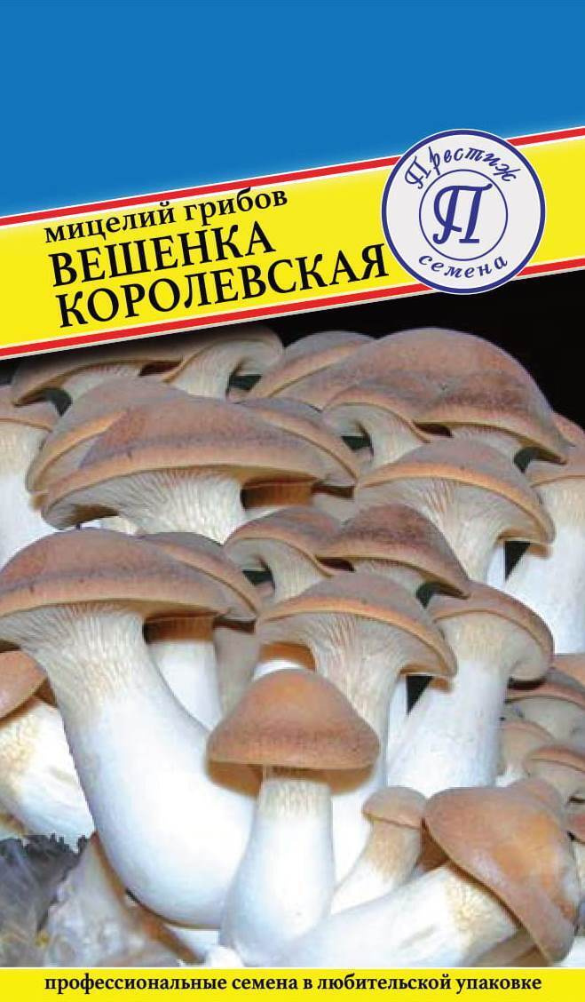 Мицелий грибов Вешенка королевская - купить по выгодным ценам в ...