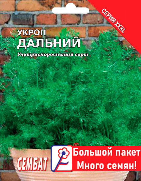 Укроп Сембат Укроп XXXL - купить по выгодным ценам в интернет-магазине ...