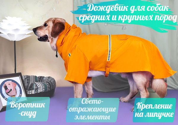 Дождевик Rexy crew со светоотражающими лентами для собак средних и крупных пород , цвет ...