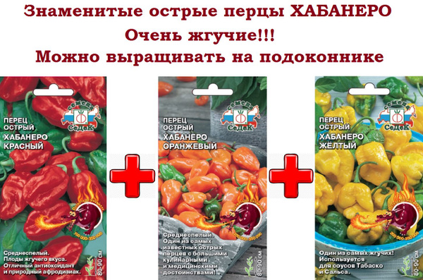 Перец острый, Перец Седек Перец острый Хабанеро. - купить по выгодным ...