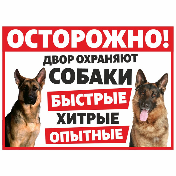 Характеристики Табличка, осторожно злая собака, прикол, на дверь, на ...