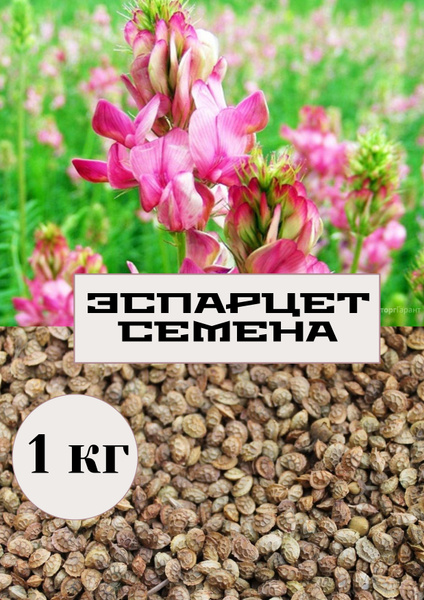 Семена эспарцет 1 кг "С Алтайских полей" - купить с доставкой по ...